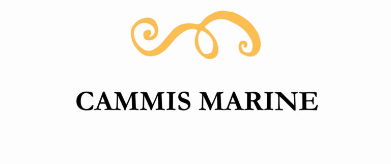 CAMMIS - Sinfonia Rotterdam